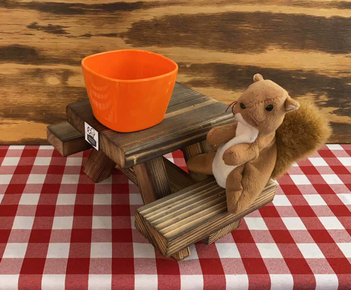 Classic Squirrel Picnic Table Gift Bundle! (Classic Squirrel Picnic Ta ...